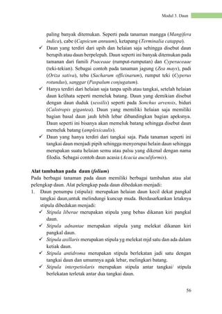 Buku Materi Pembelajaran Morfologi Tumbuhan.pdf