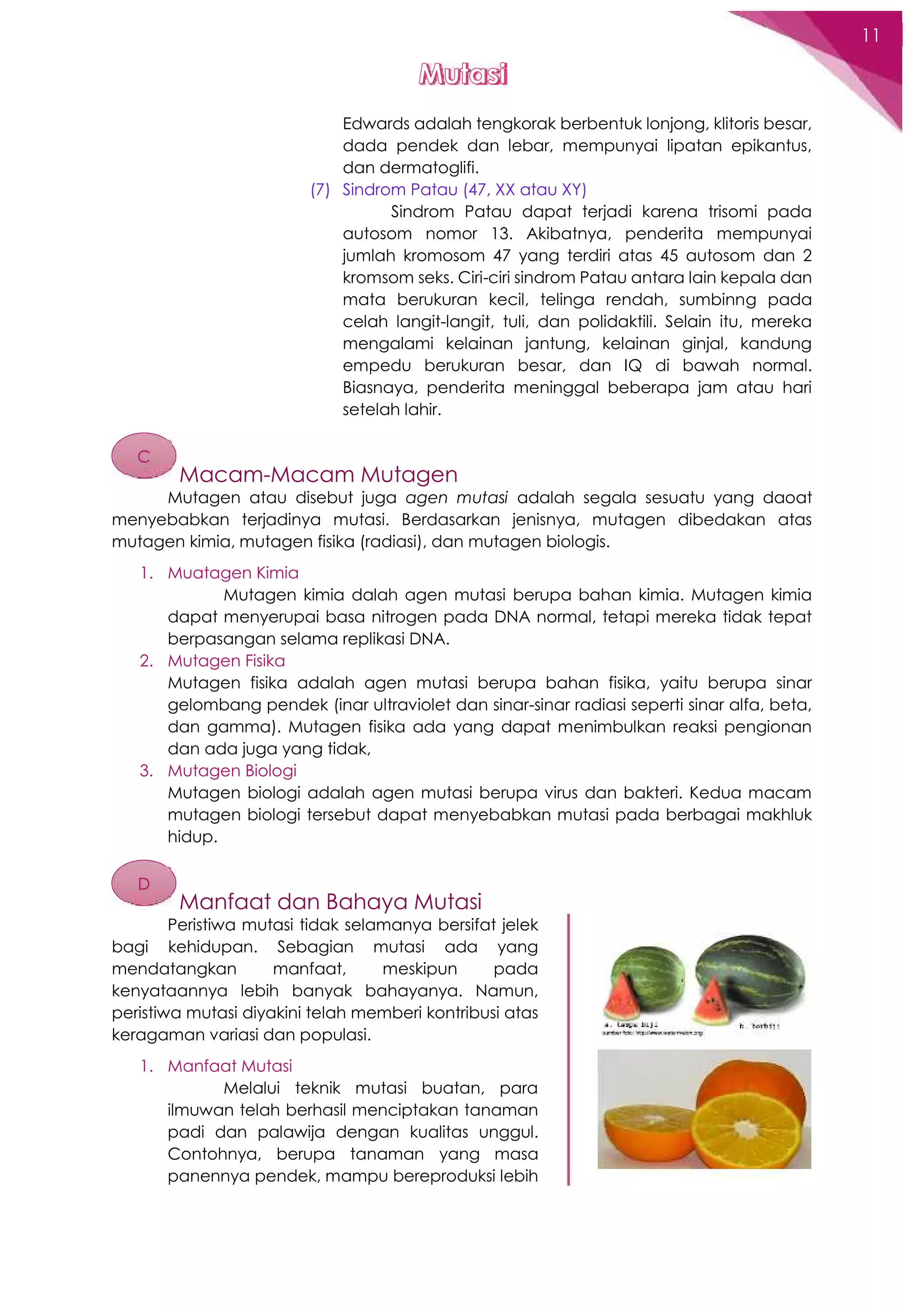 ebook Mutasi - Biologi | PDF