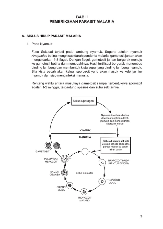 Buku pedoman teknis pemeriksaan parasit malaria | PDF