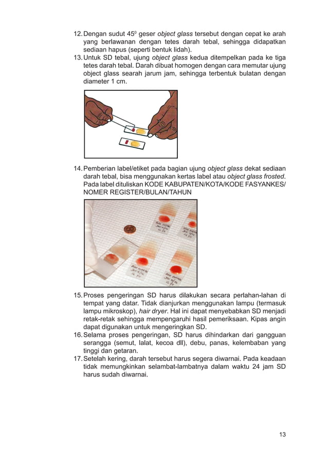 Buku pedoman teknis pemeriksaan parasit malaria | PDF