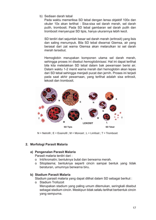 Buku pedoman teknis pemeriksaan parasit malaria | PDF