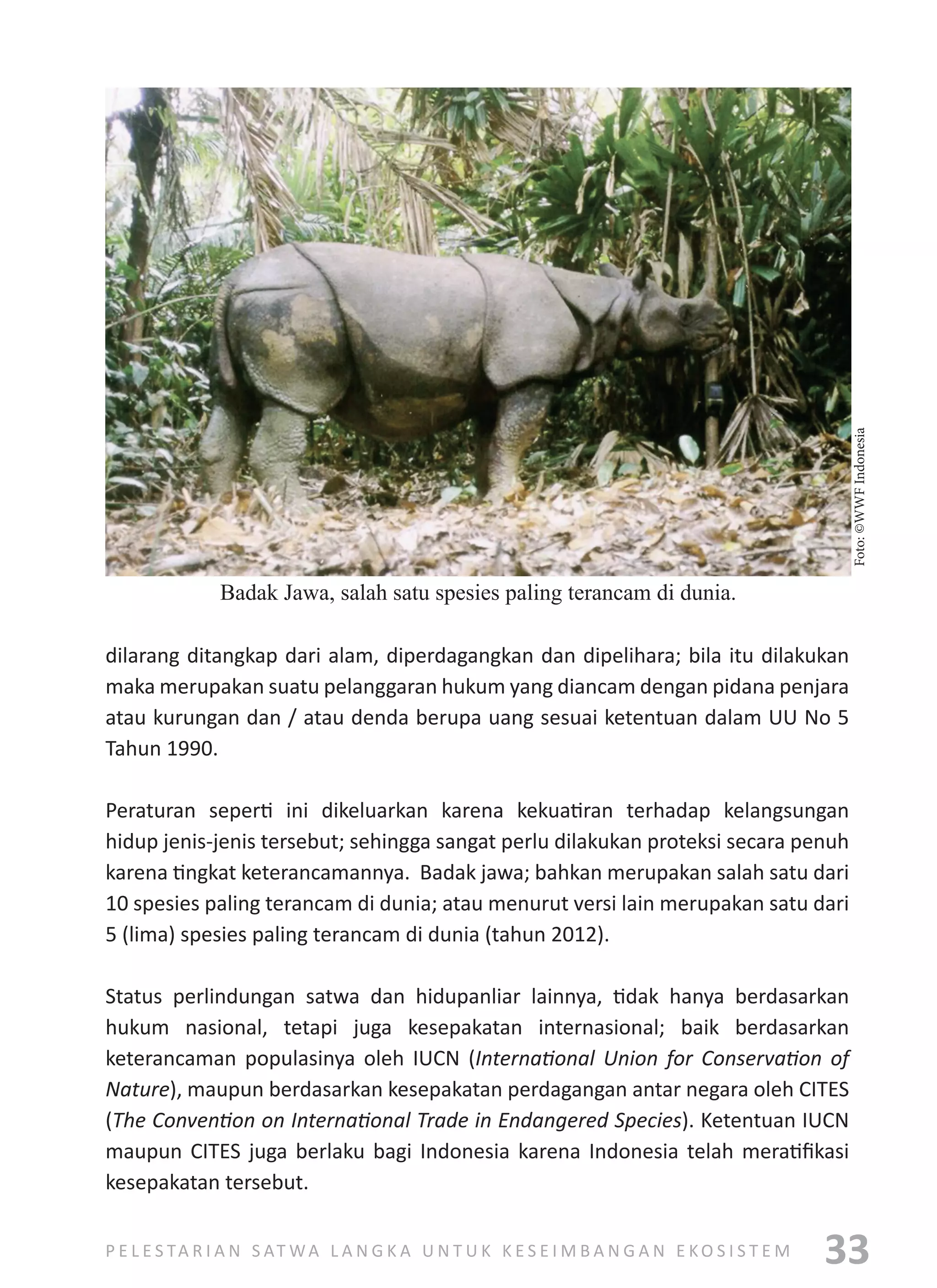 Buku pelestarian satwa untuk keseimbangan ekosistem | PDF