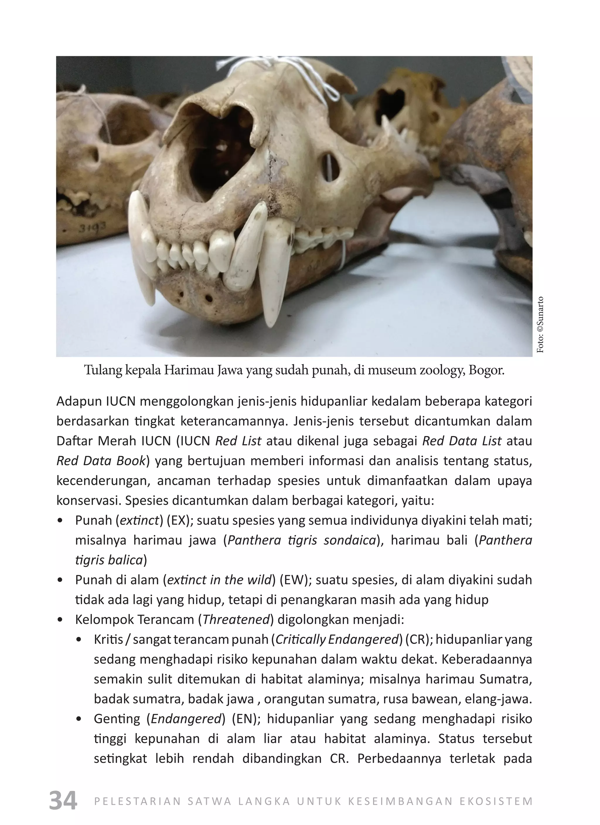 Buku pelestarian satwa untuk keseimbangan ekosistem | PDF