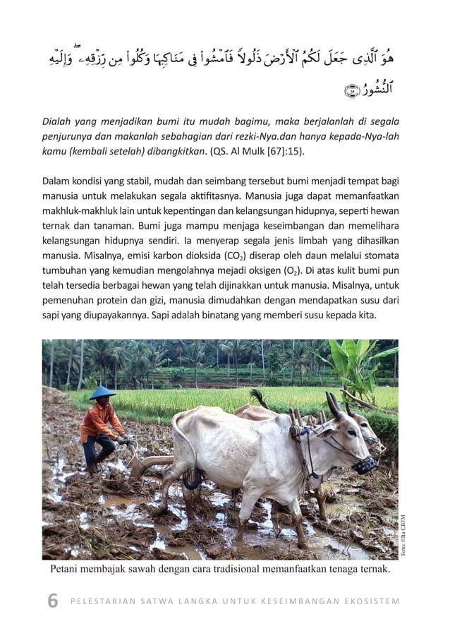 Buku pelestarian satwa untuk keseimbangan ekosistem | PDF