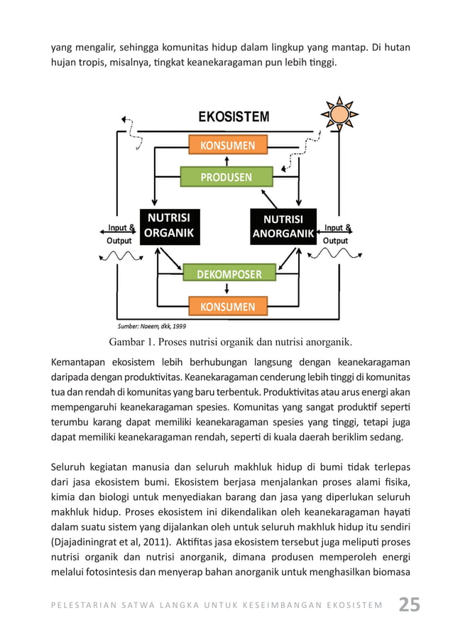 Buku pelestarian satwa untuk keseimbangan ekosistem | PDF