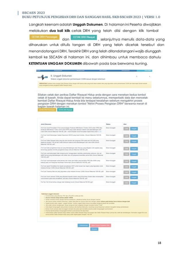 Buku Petunjuk Pengisian DRH PPPK 2023.pdf