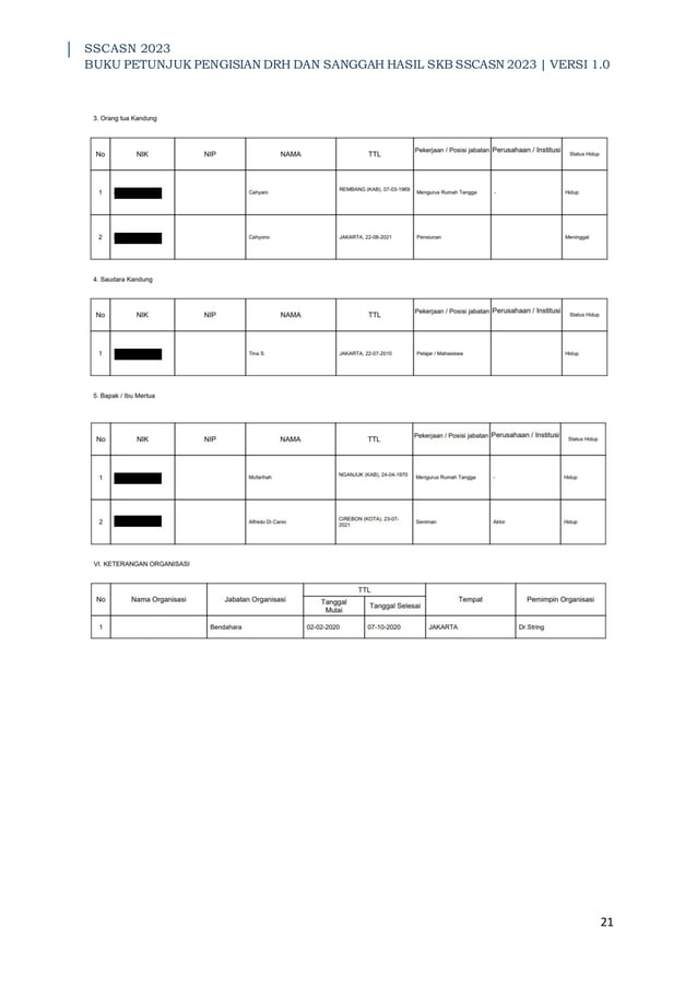 Buku Petunjuk Pengisian DRH PPPK 2023.pdf