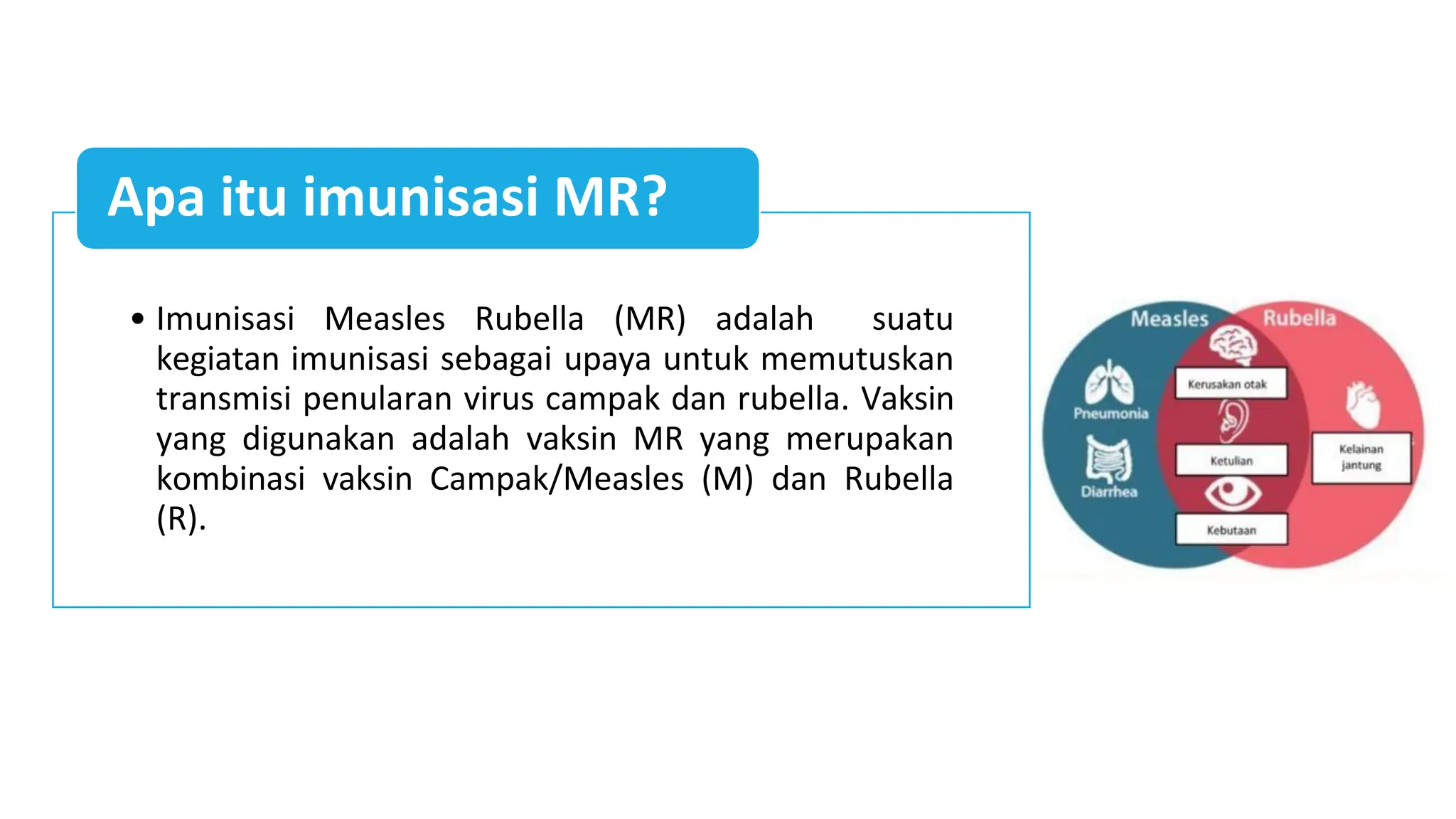 Buku_Pintar_Imunisasi_Campak_dan_Rubella.pdf