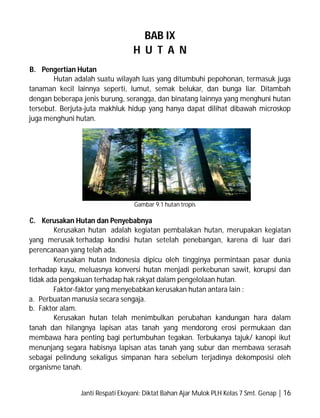 Buku plh 7 genap | PDF