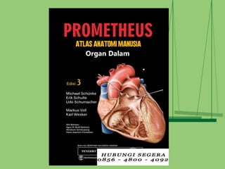 Buku prometheus edisi 3,buku prometheus edisi 3 gabungan,buku anatomi,0856 4800 4092 | PPTX