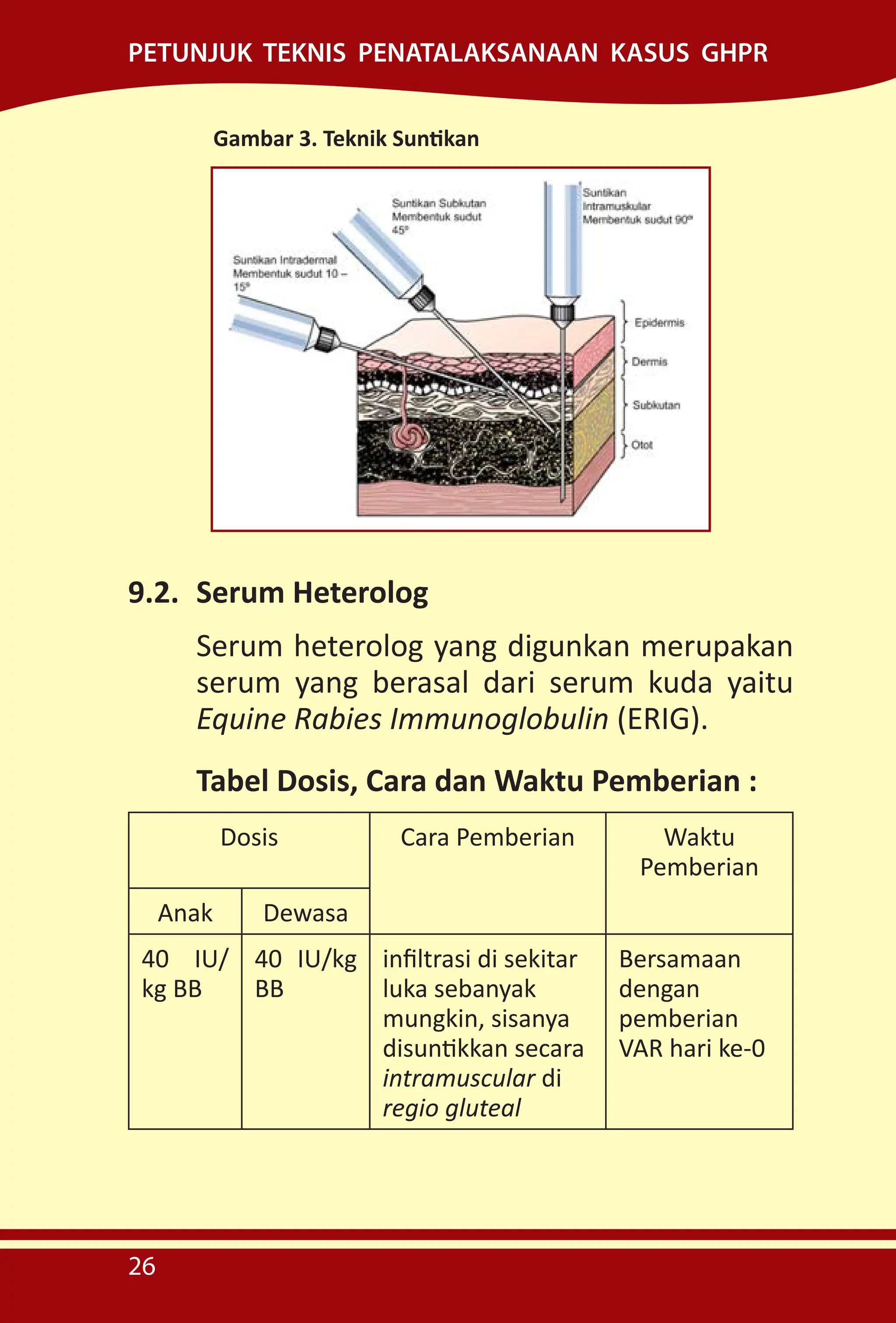 Pedoman dalam penanganan Gigitan Hewan Penular Rabies | PDF