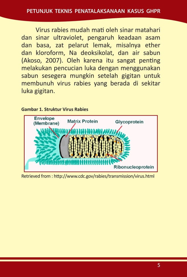 Pedoman dalam penanganan Gigitan Hewan Penular Rabies | PDF
