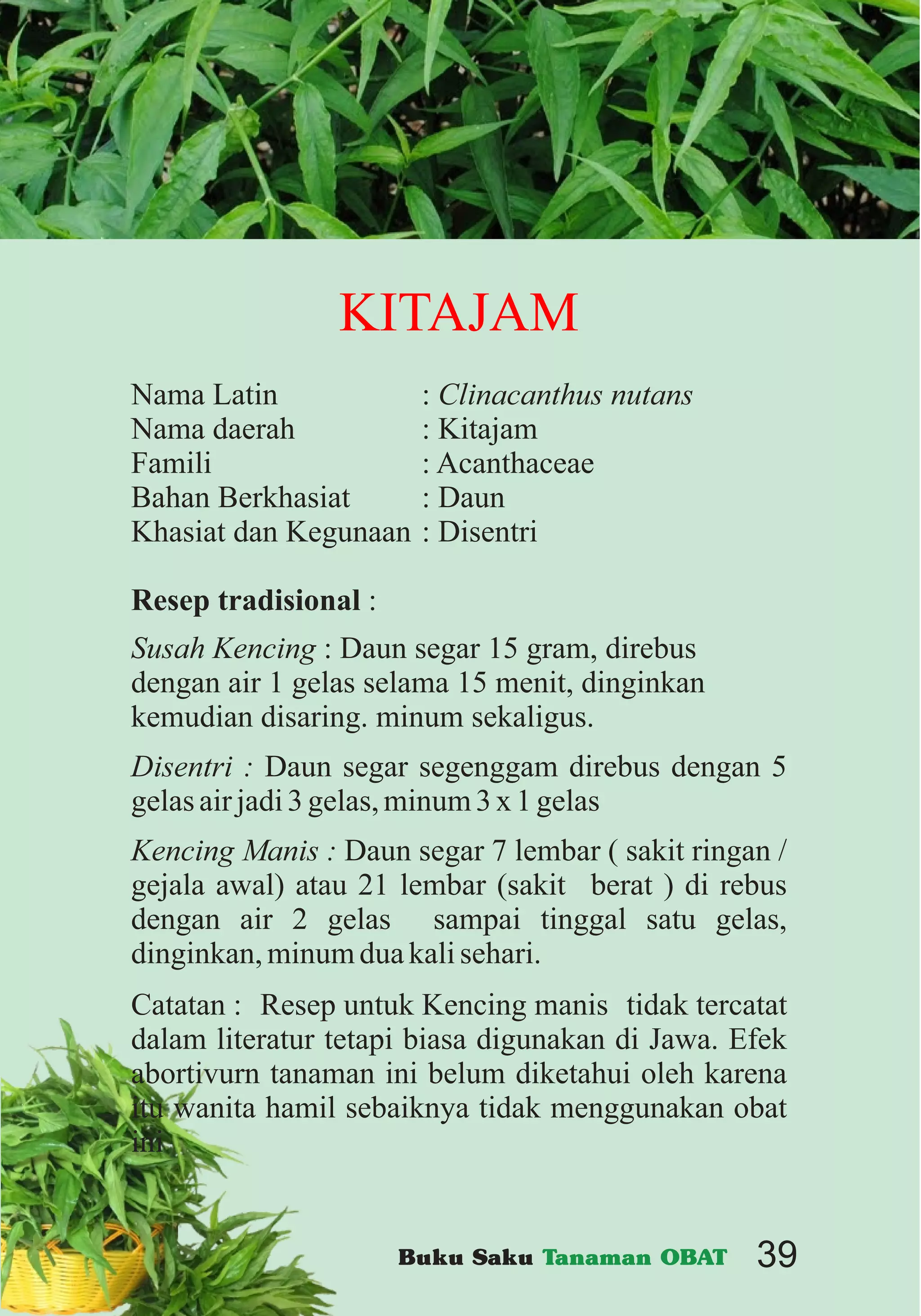 Buku saku tanaman obat (rev red) | PDF