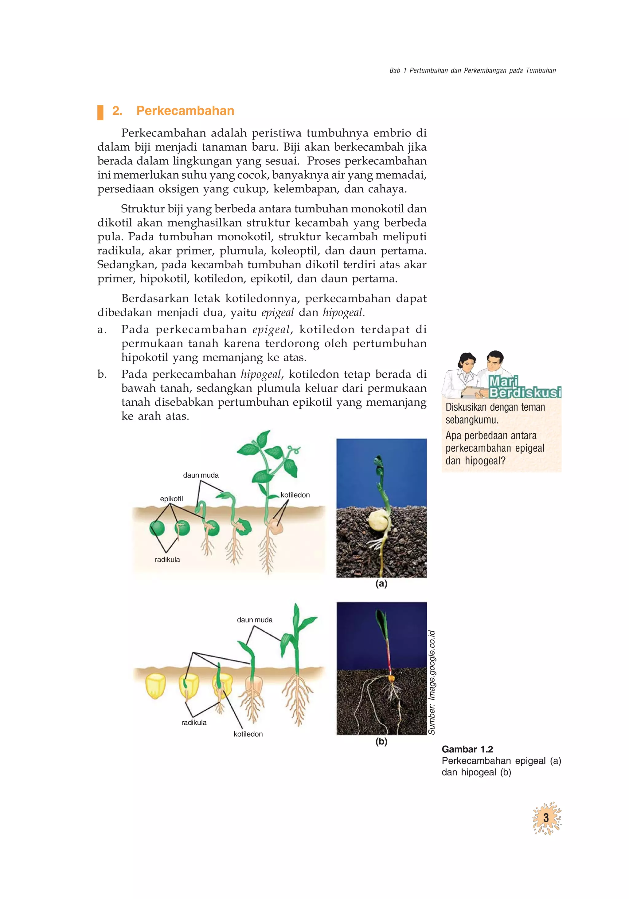 Buku sekolah elektronik biologi kls_12 | PDF