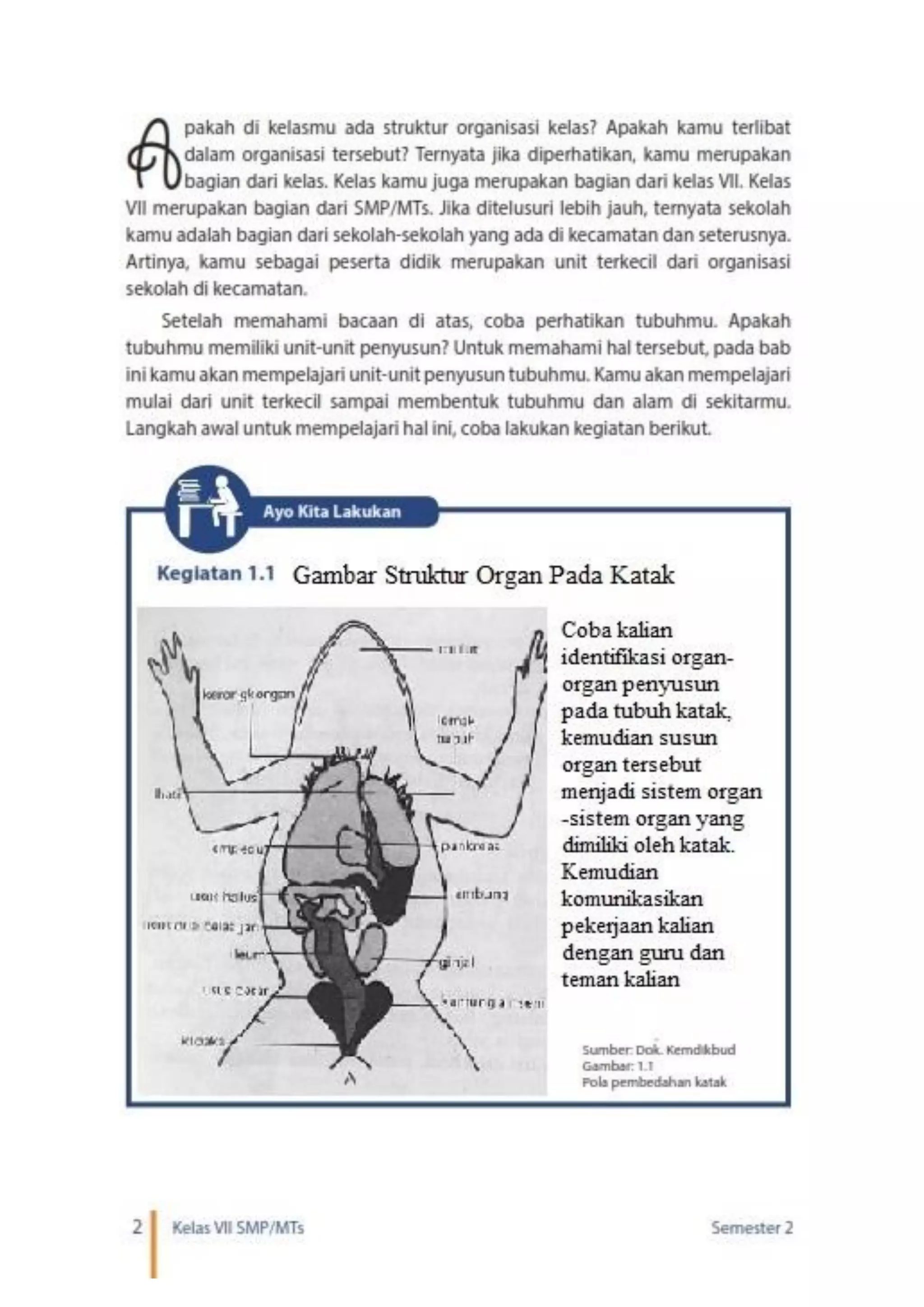 Sel Jaringan IPA Kelas 7 SMP | PDF