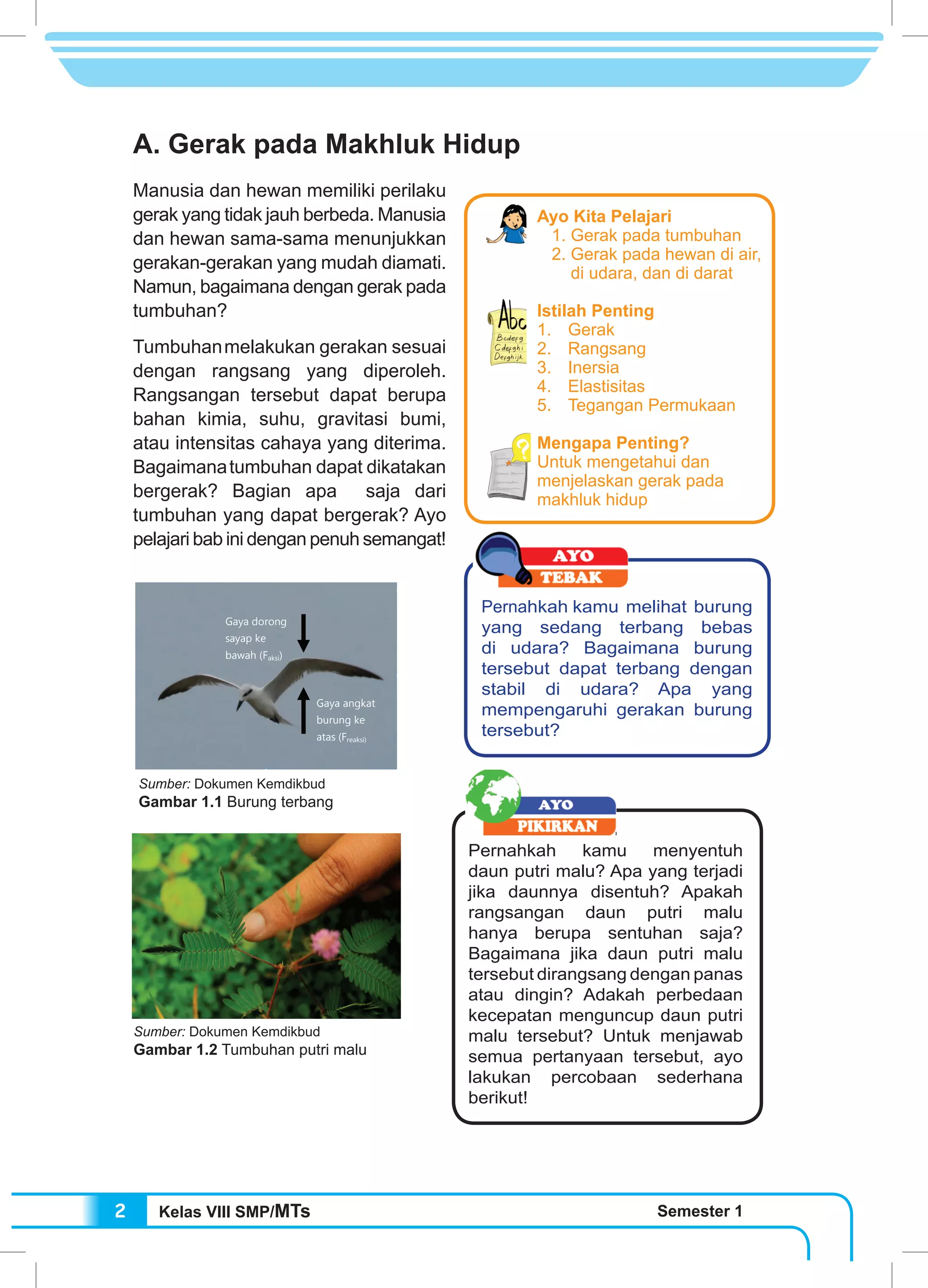 Buku siswa kurikulum 2013 ipa kelas VIII | PDF