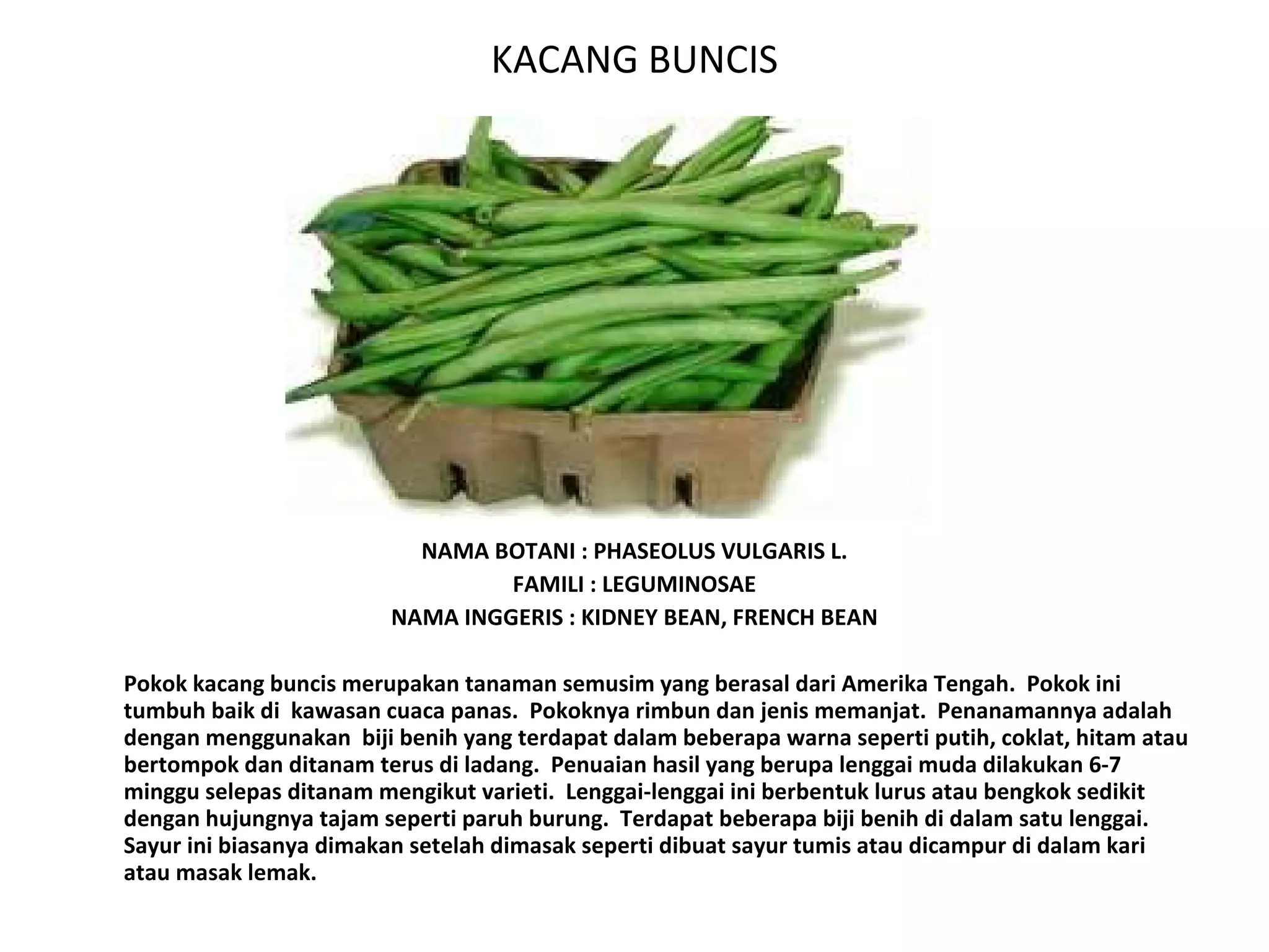 Buku skrap jenis jenis sayuran | PPT