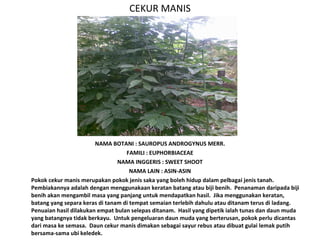 Buku skrap jenis jenis sayuran | PPT
