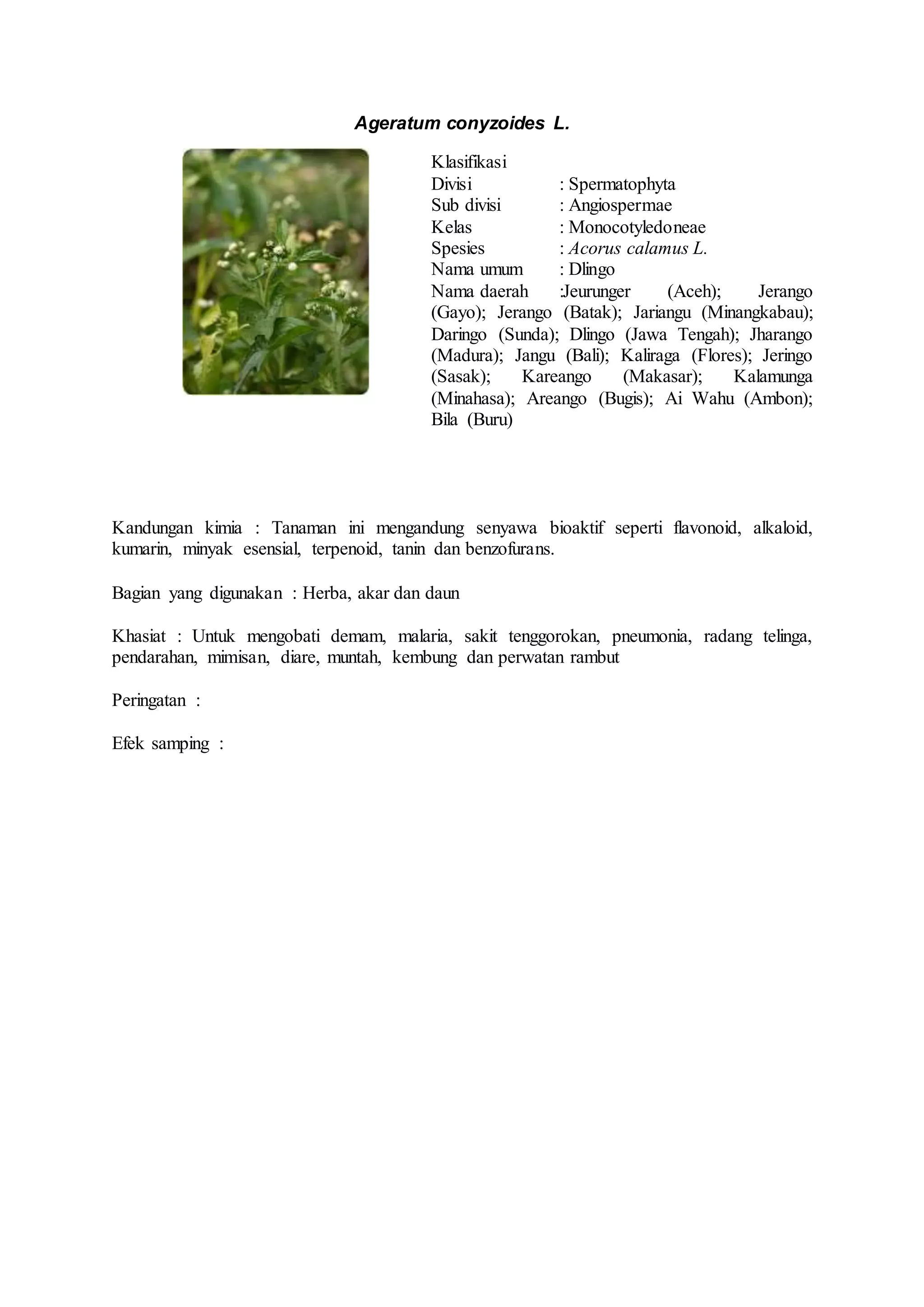 Buku tanaman obat | DOCX