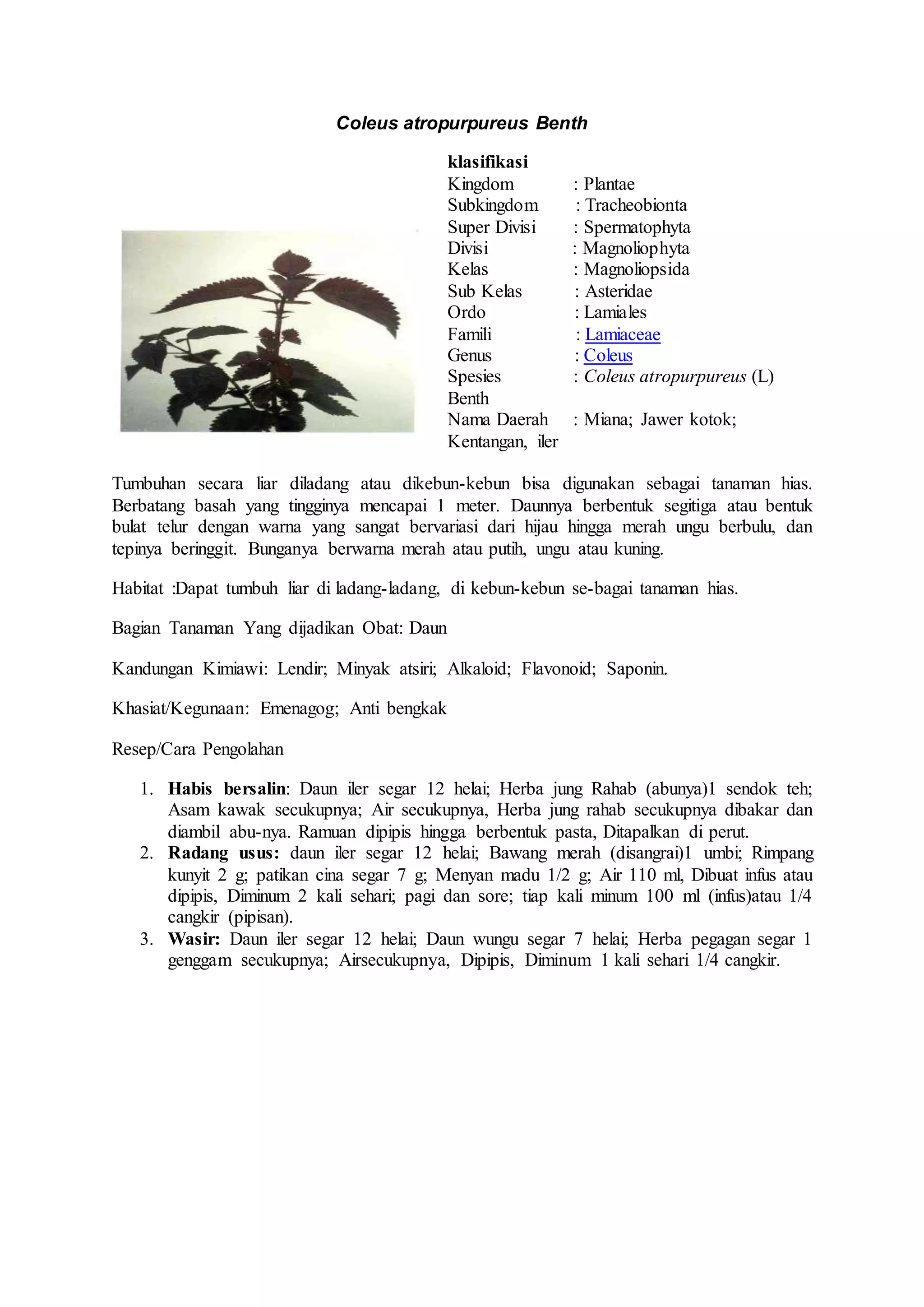 Buku tanaman obat | DOCX