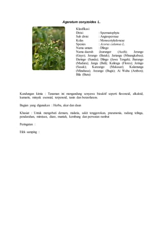 Buku tanaman obat | DOCX