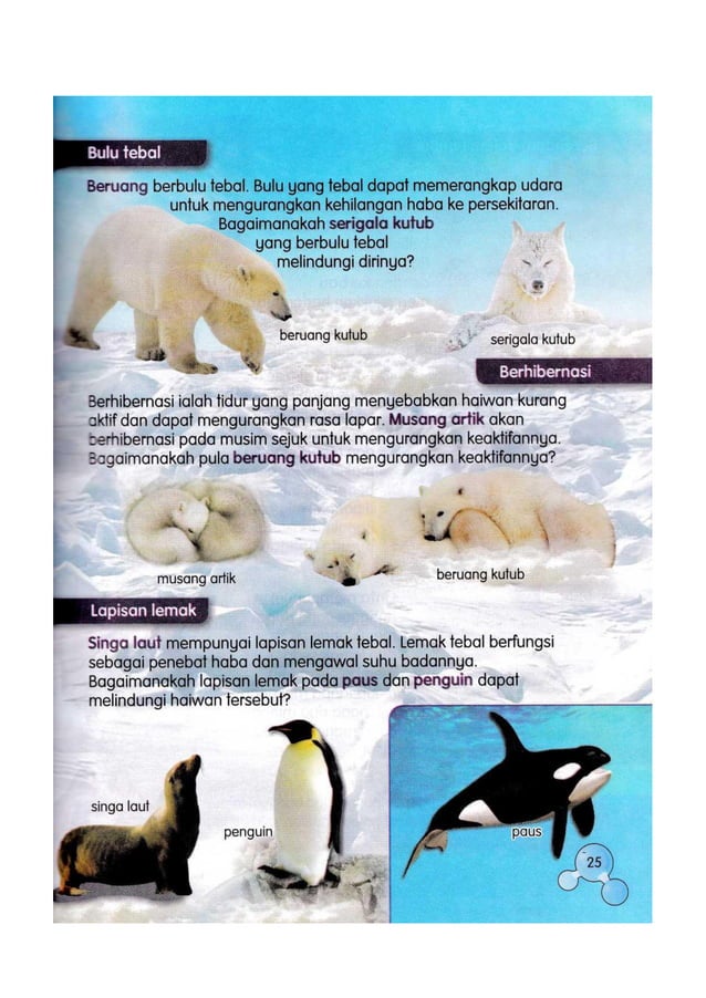 Buku teks sains tahun 5 kssr | PDF