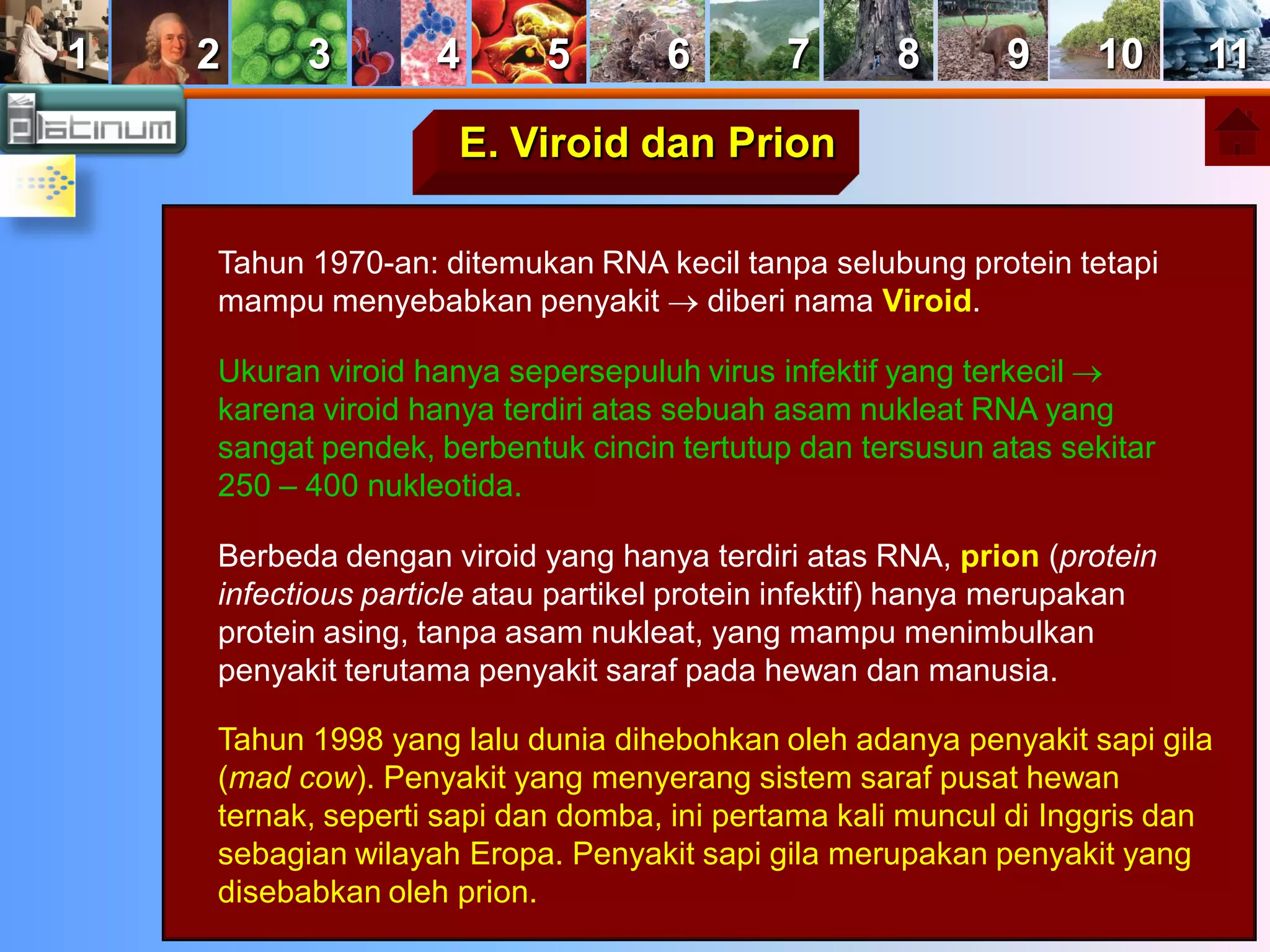 Buku x bab 3 (Virus) | PDF