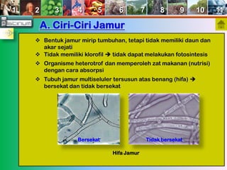 Buku x bab 6 (Jamur (Fungi)) | PPT