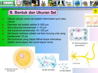Buku xi bab 1 (Sel) | PDF