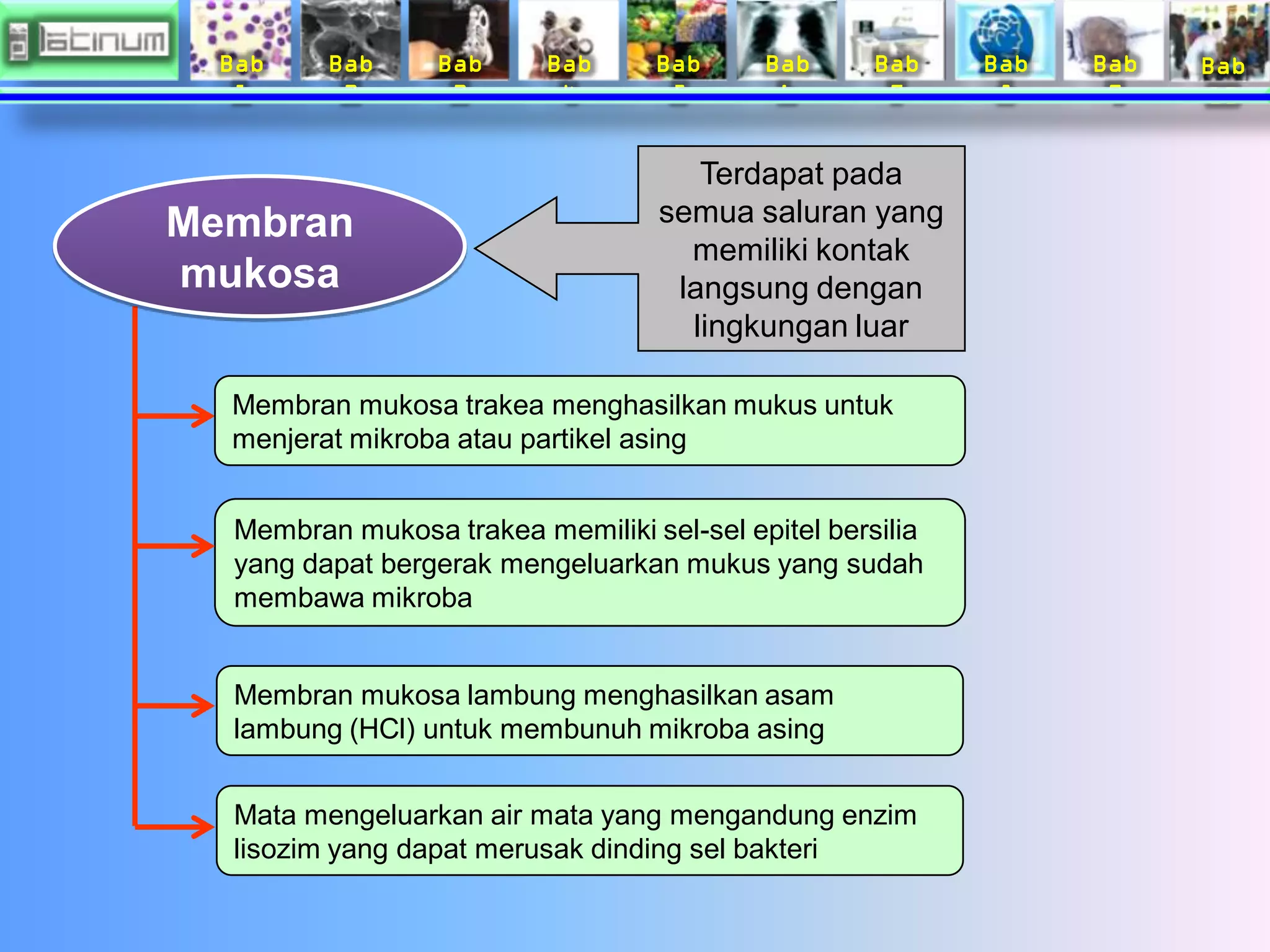 Buku xi bab 10 (Sistem Pertahanan Tubuh) | PPT