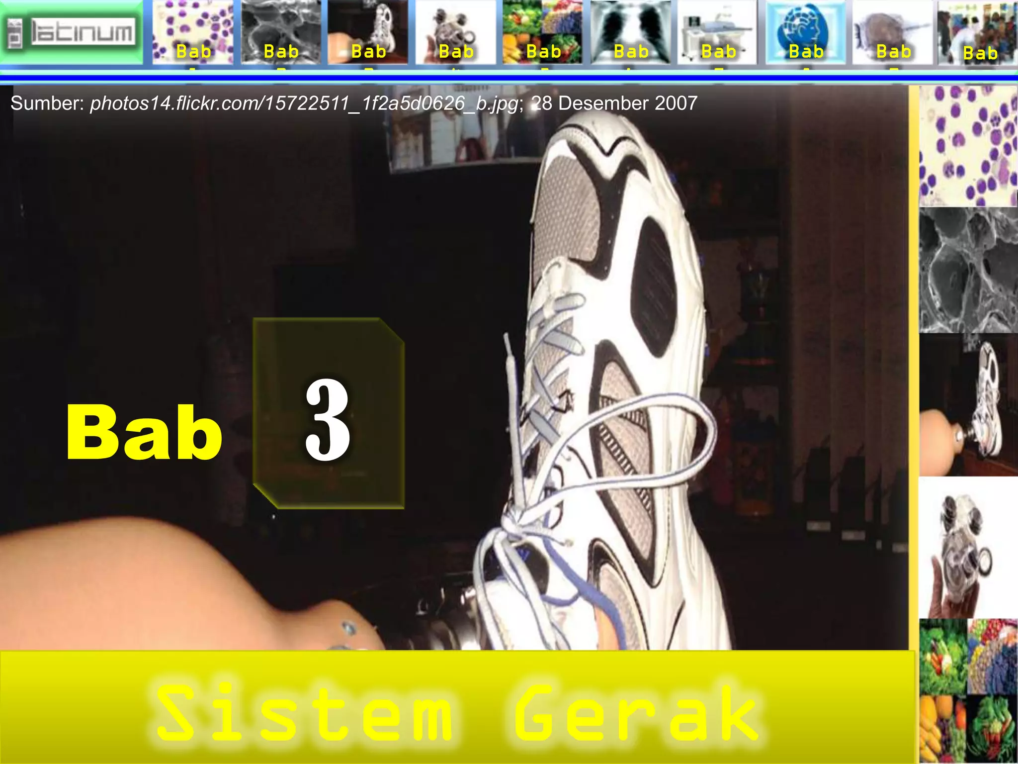 Buku xi bab 3 (Sistem Gerak) | PDF