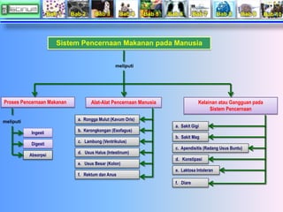 Buku XI Bab 5(Sistem Pencernaan Makanan).ppt