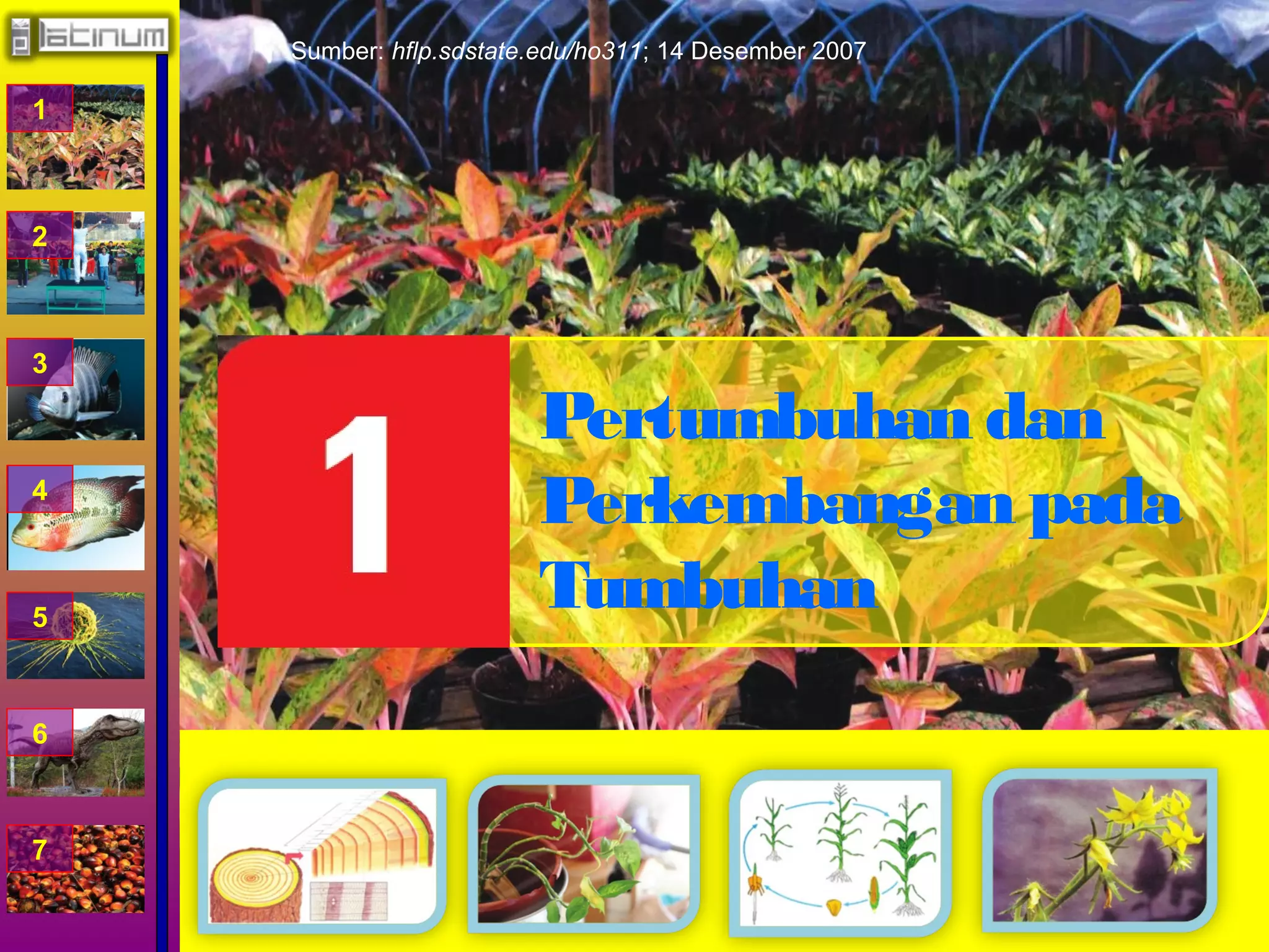 Buku xii bab 1 | PPT