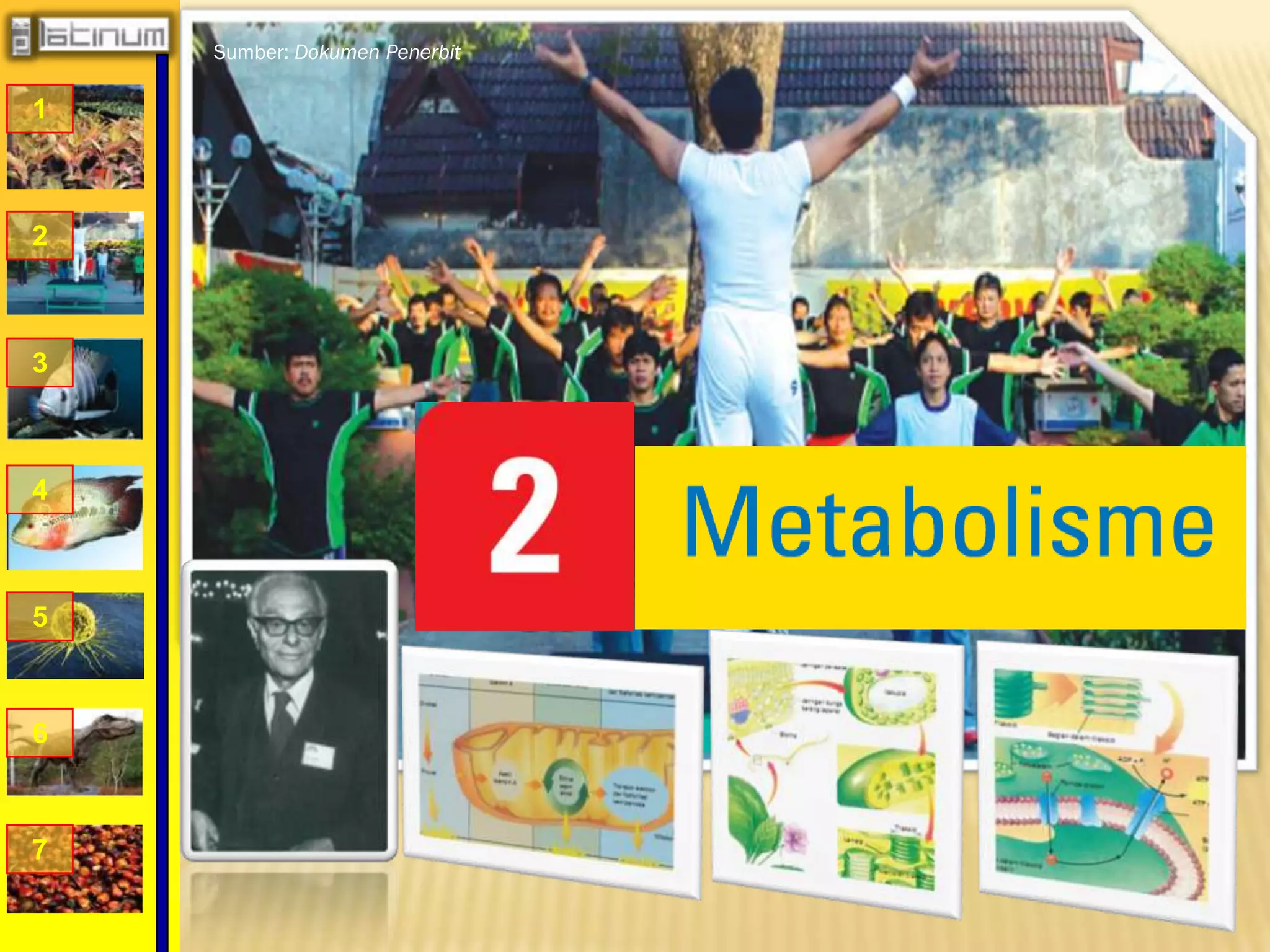 Buku xii bab 2 (Metabolisme) | PDF