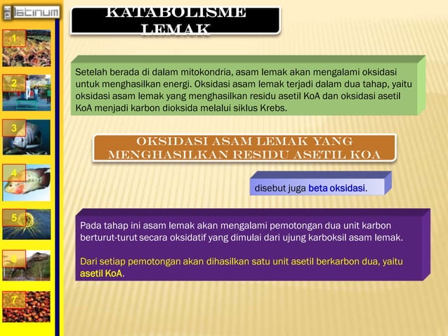 Buku xii bab 2 (Metabolisme) | PDF