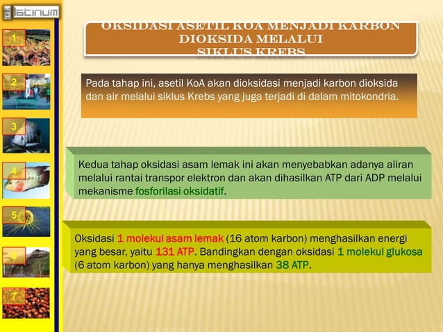 Buku xii bab 2 (Metabolisme) | PDF