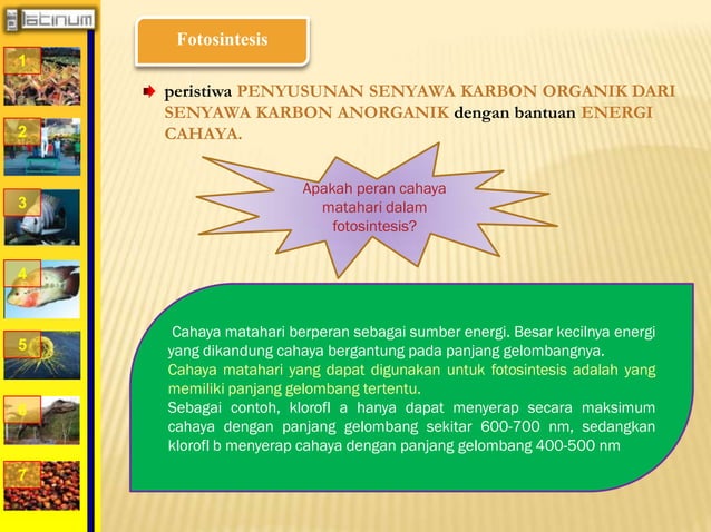 Buku xii bab 2 (Metabolisme) | PDF