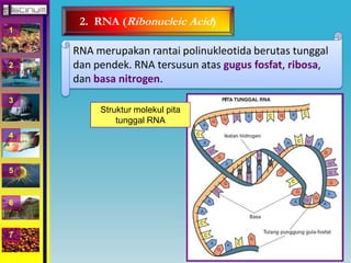 Buku xii bab 3 (Substansi Genetik) | PDF