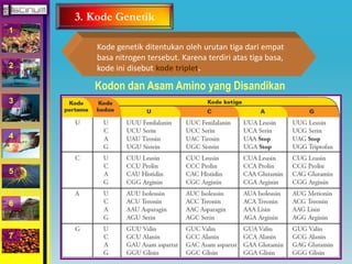 Buku xii bab 3 (Substansi Genetik) | PDF