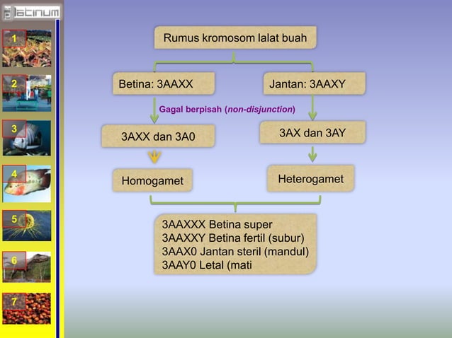 Buku xii bab 4 (Pewarisan Sifat) | PDF