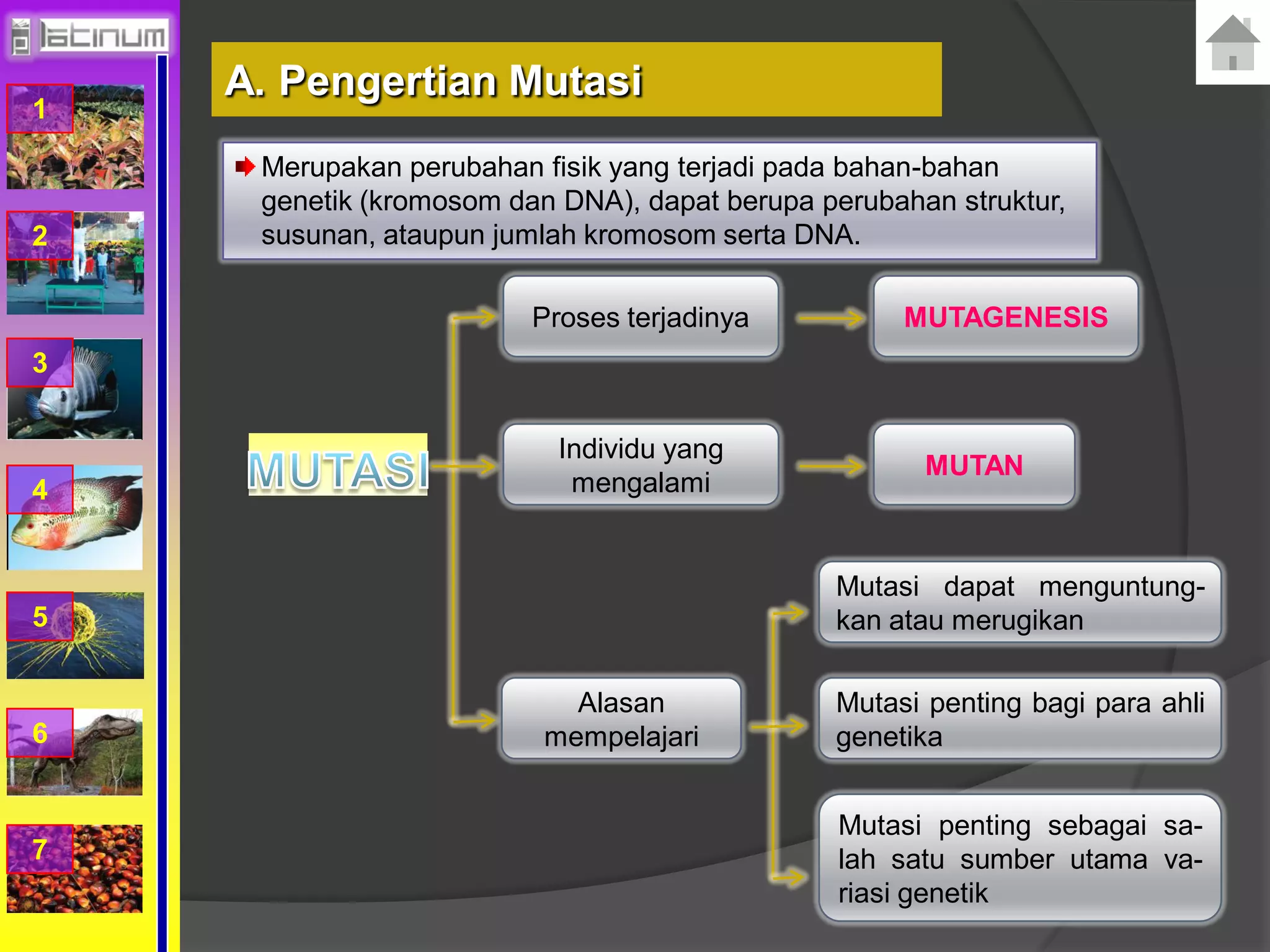Buku xii bab 5 (Mutasi) | PDF