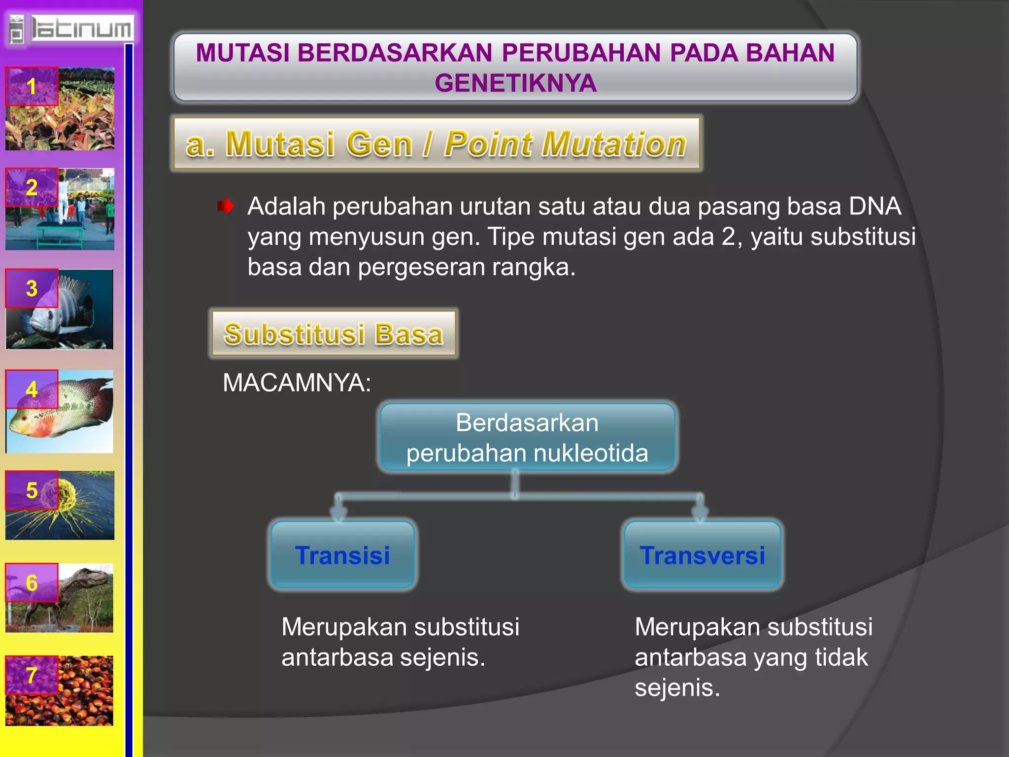 Buku xii bab 5 (Mutasi) | PDF