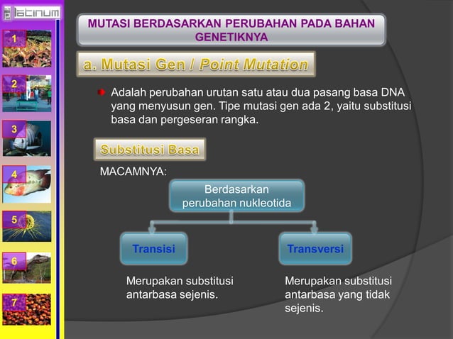 Buku xii bab 5 (Mutasi) | PDF