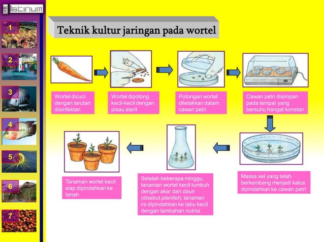 Buku xii bab 7 (Bioteknologi) | PDF
