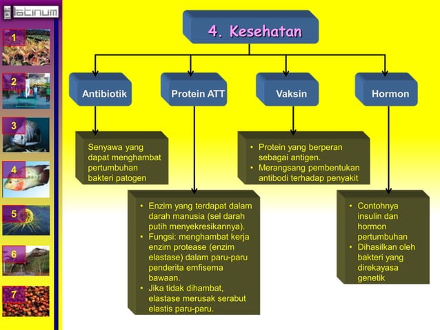 Buku xii bab 7 (Bioteknologi) | PDF