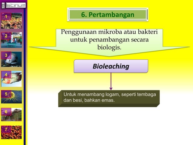 Buku xii bab 7 (Bioteknologi) | PPT
