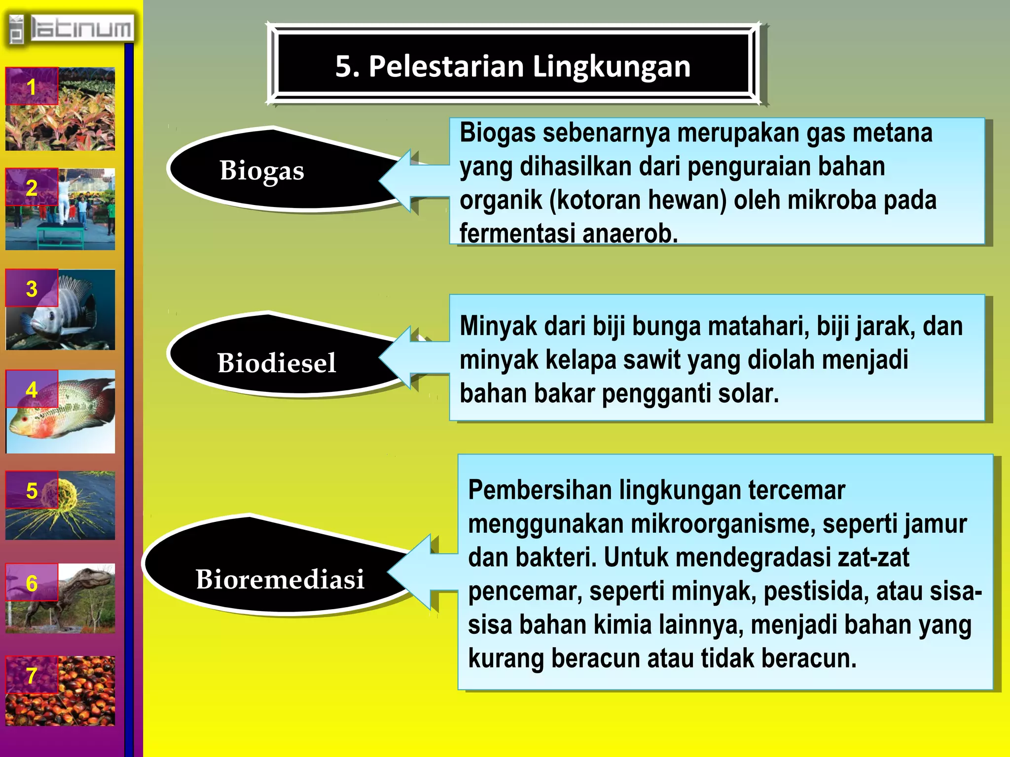 Buku xii bab 7 | PPT