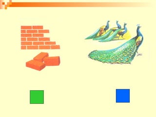 Bukva p | PPT