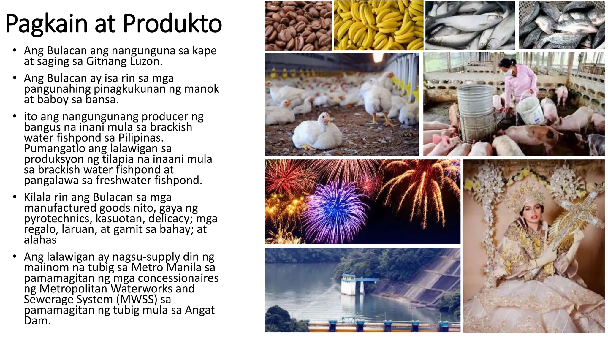 Bulacan presentation Grade 3 abcdecdsdsds | PPTX