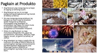 Bulacan presentation Grade 3 abcdecdsdsds | PPTX